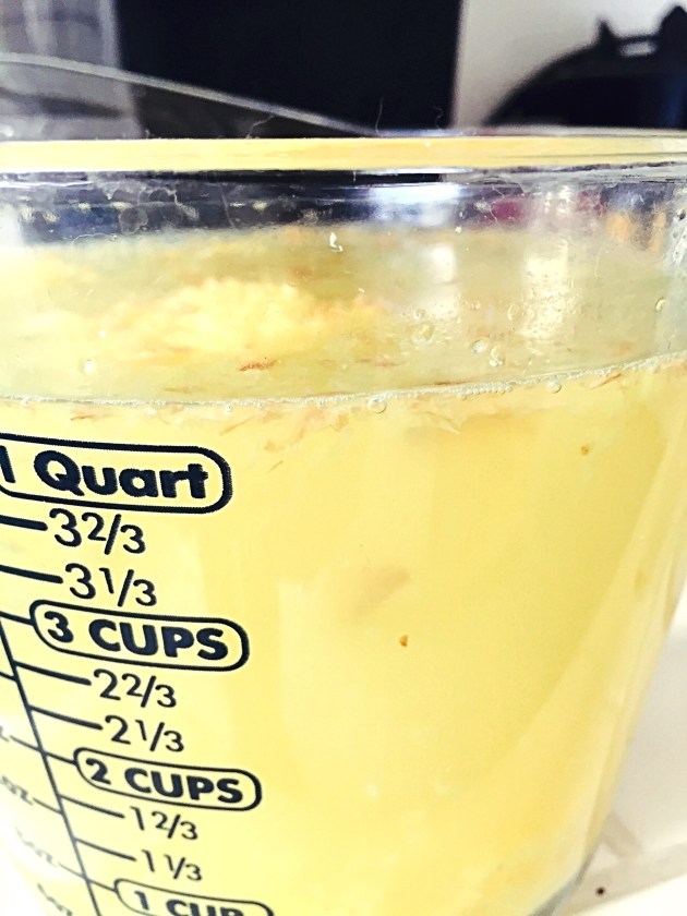 How to Make a Ginger Bug–How to Make a Lacto-Starter | Lazy Girl Dinners